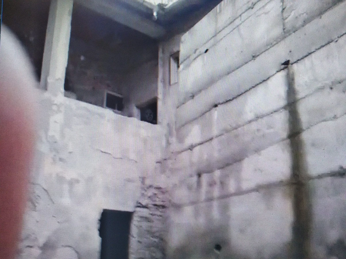 The Hiding Monster | Barli and SCP Foundation 2020 Wiki | Fandom