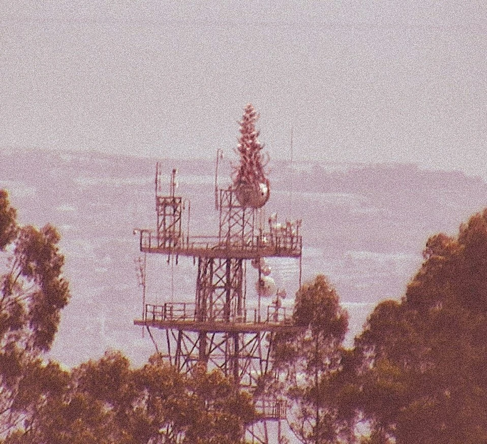 The Adsorb Meat Tower | Barli and SCP Foundation 2020 Wiki | Fandom