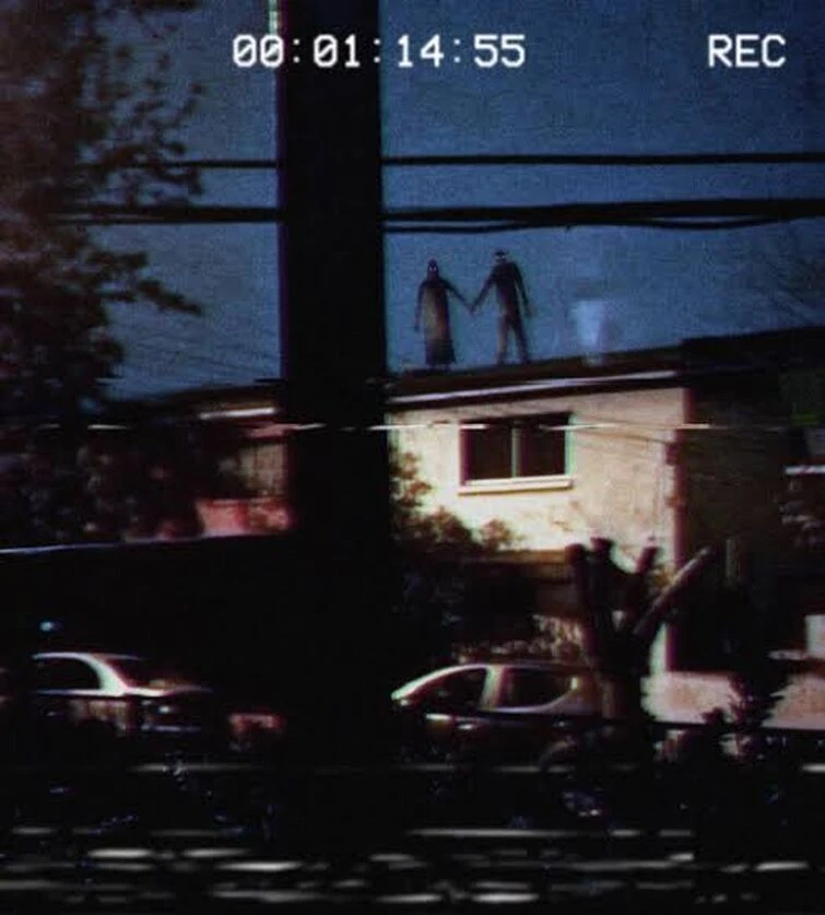 Boy and Girl | Barli and SCP Foundation 2020 Wiki | Fandom