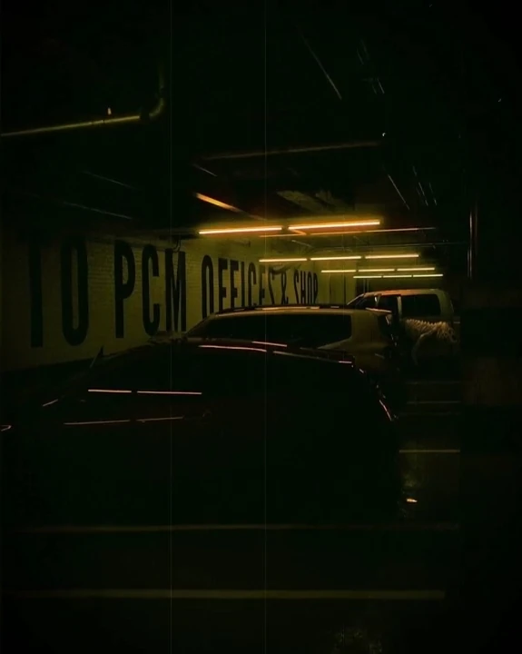 Street Dog | Barli and SCP Foundation 2020 Wiki | Fandom