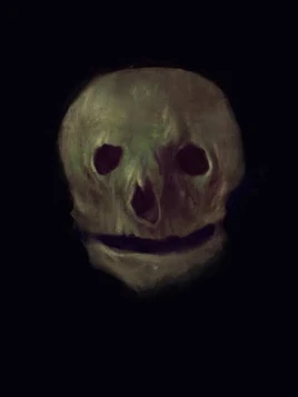 Face In Dark Bedroom | Barli and SCP Foundation 2020 Wiki | Fandom