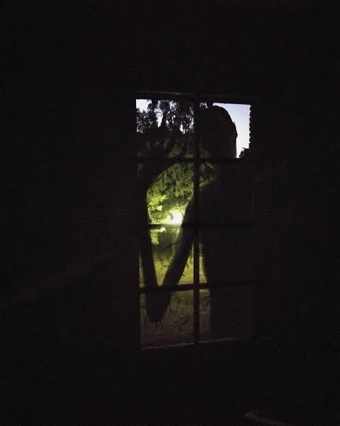 The Window Thing | Barli and SCP Foundation 2020 Wiki | Fandom