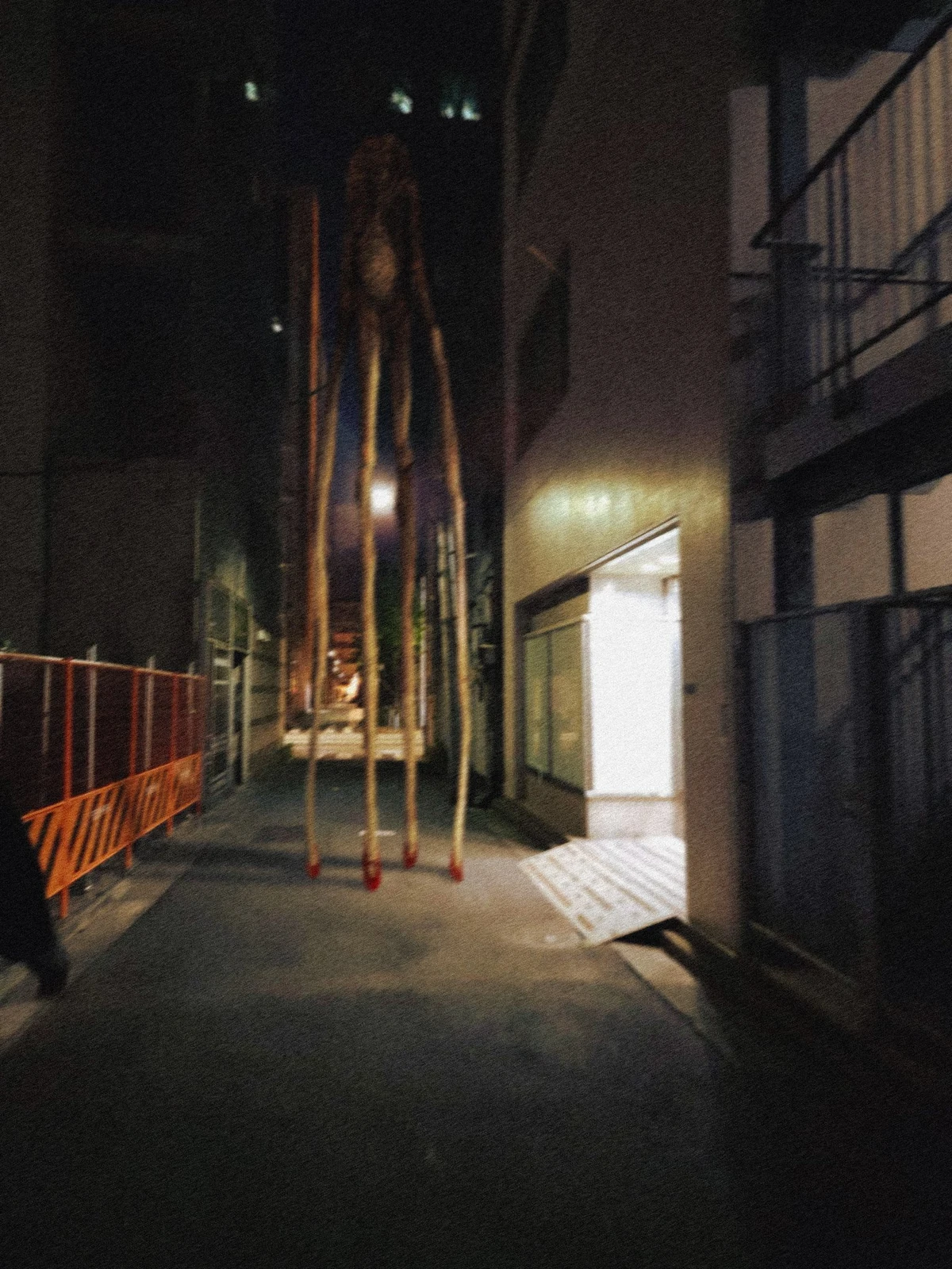 Followed down back alleys | Barli and SCP Foundation 2020 Wiki | Fandom
