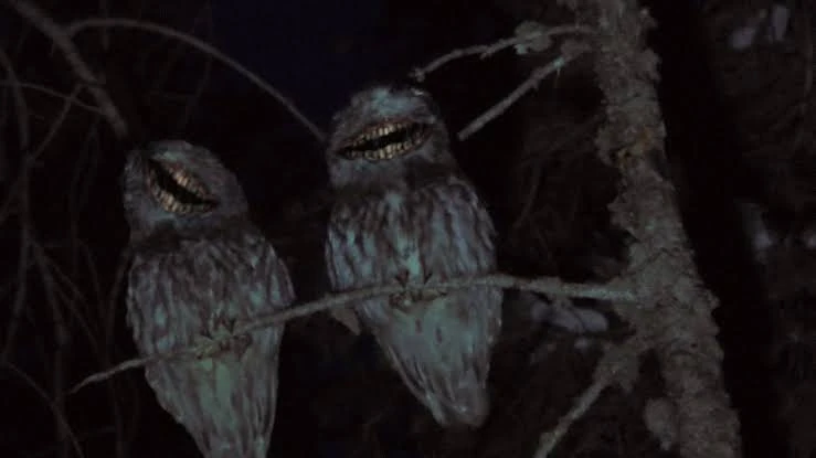 The Smiling Owls | Barli and SCP Foundation 2020 Wiki | Fandom