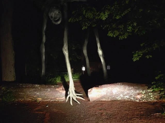 Forest Thing | Barli and SCP Foundation 2020 Wiki | Fandom