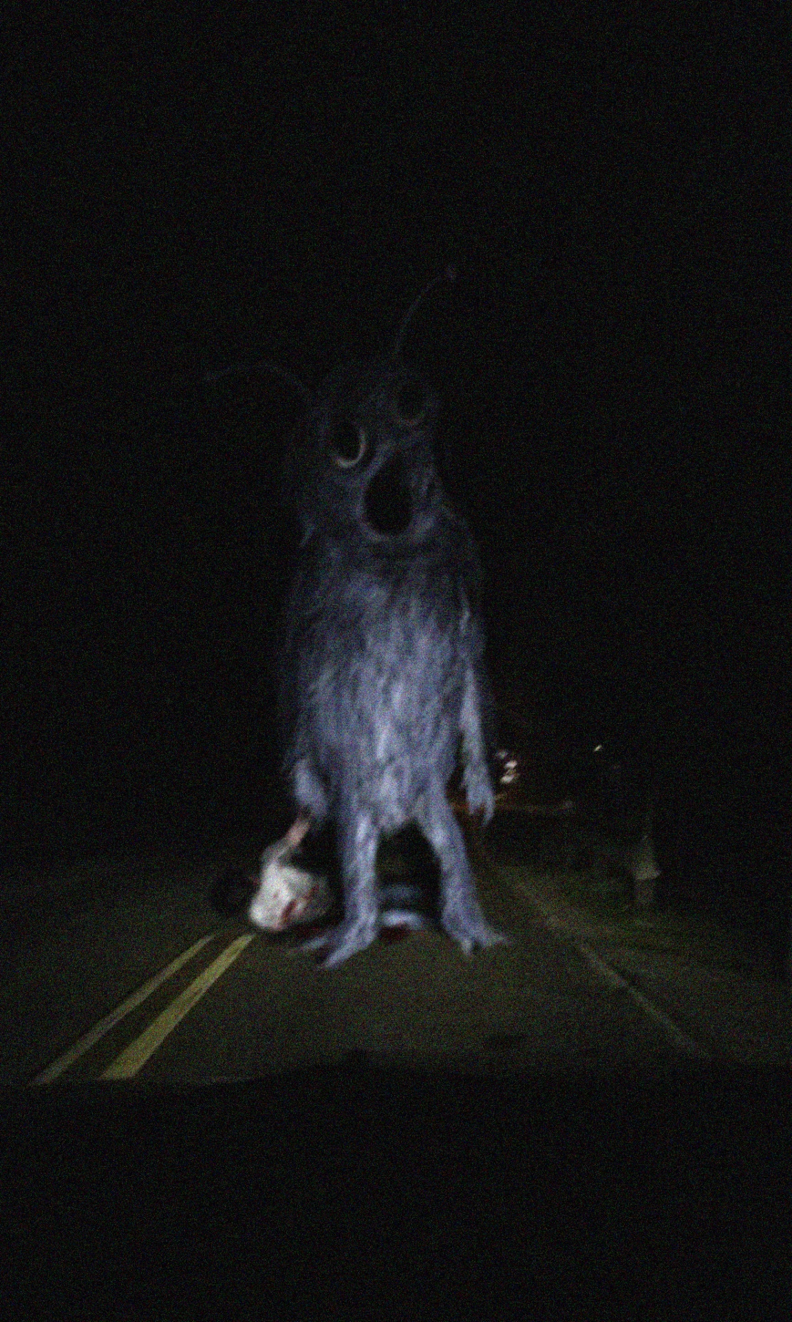 Costume Man/Mr. Mascot | Barli and SCP Foundation 2020 Wiki | Fandom