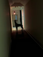 Good Boy | Barli and SCP Foundation 2020 Wiki | Fandom