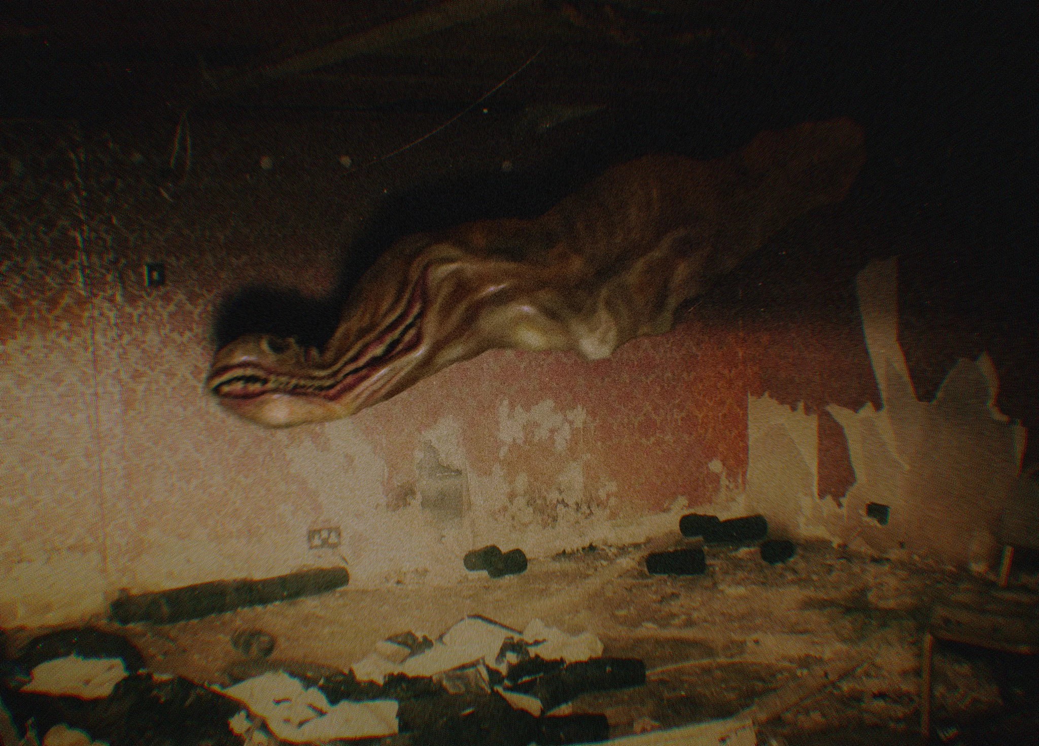 Ghost Of The Patient | Barli and SCP Foundation 2020 Wiki | Fandom