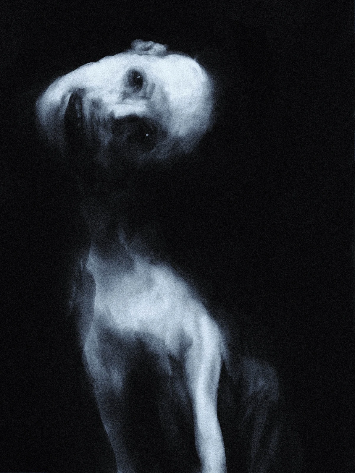 Category:Paranoias Based Entities | Barli and SCP Foundation 2020 Wiki ...