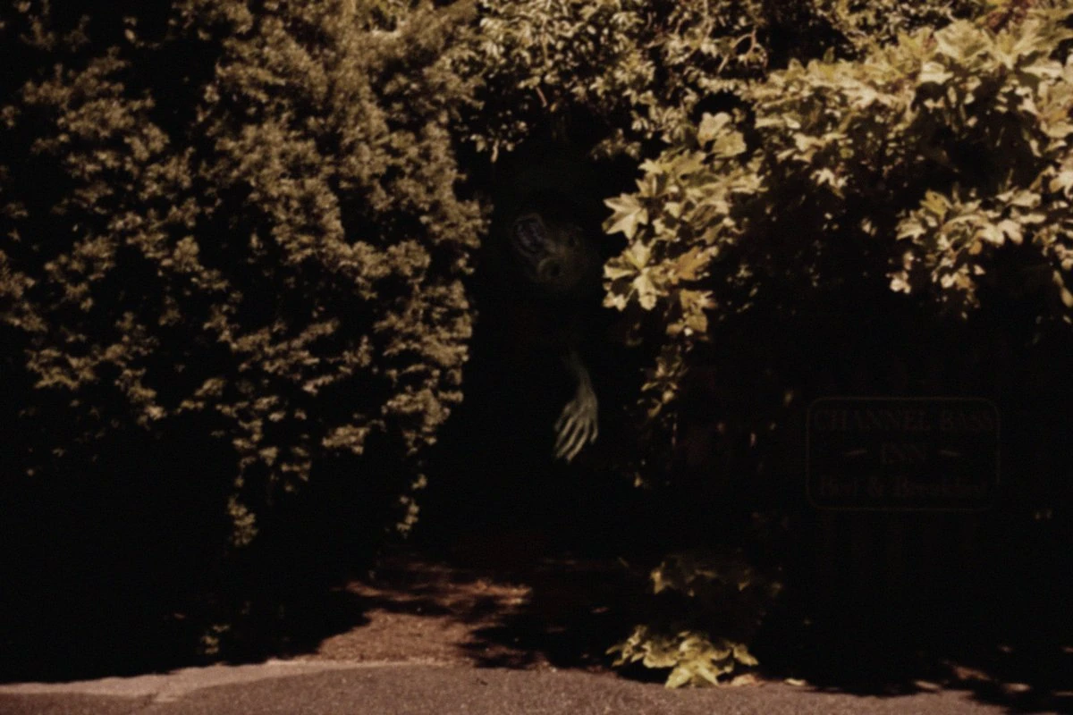 Old Road Stalker | Barli and SCP Foundation 2020 Wiki | Fandom