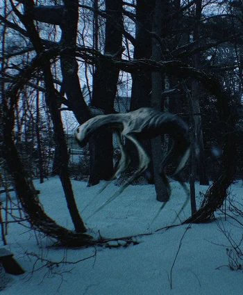 The Circle In The Forest | Barli and SCP Foundation 2020 Wiki | Fandom