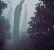 Wood Giants | Barli and SCP Foundation 2020 Wiki | Fandom