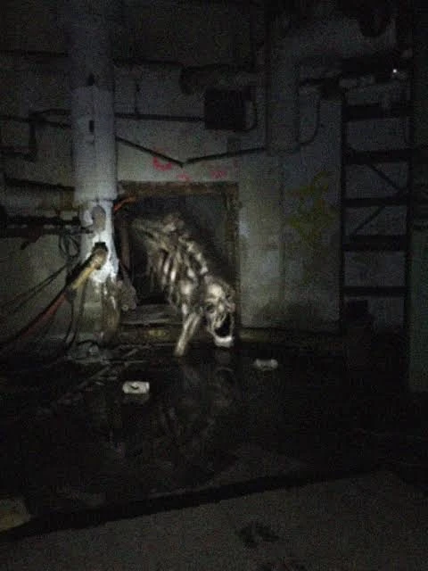 The Sewer Monster | Barli and SCP Foundation 2020 Wiki | Fandom