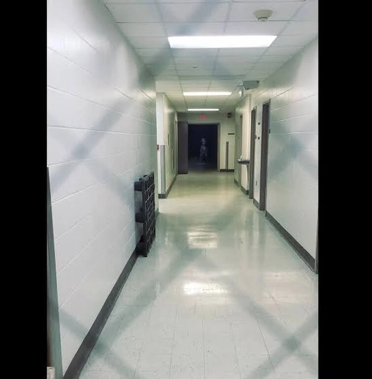 Office Stalker | Barli and SCP Foundation 2020 Wiki | Fandom