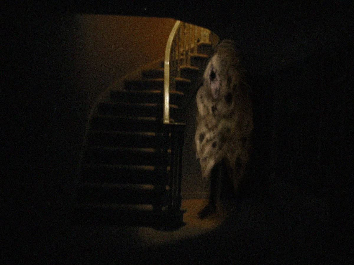 Shy Boy | Barli and SCP Foundation 2020 Wiki | Fandom