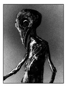 God Of Chickens/Chicken Ghost | Barli and SCP Foundation 2020 Wiki | Fandom