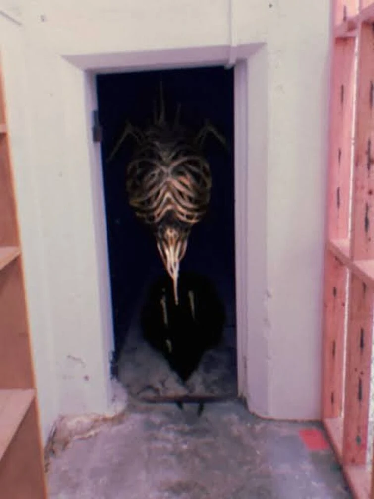 Found Bones | Barli and SCP Foundation 2020 Wiki | Fandom