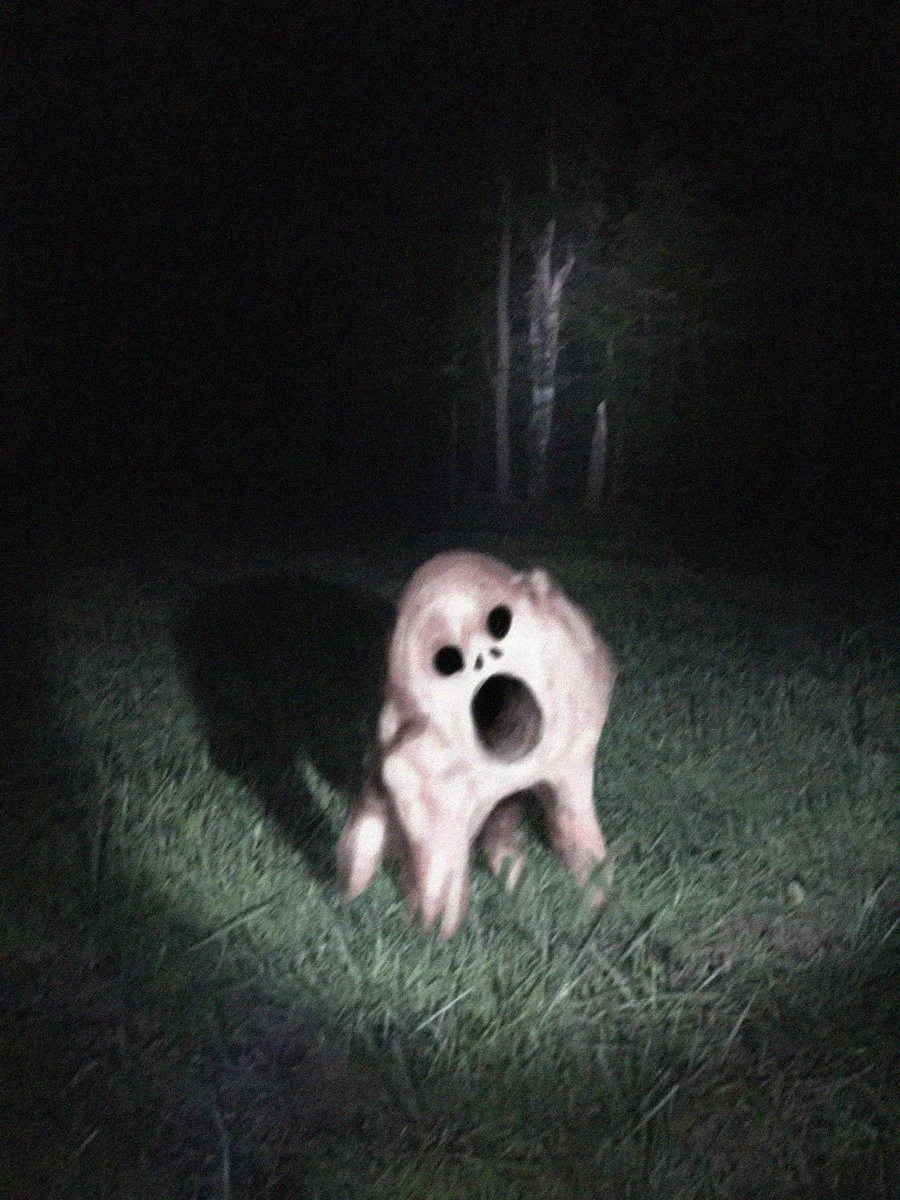 The Stalking Dwarf/Pig Creature | Barli and SCP Foundation 2020 Wiki ...