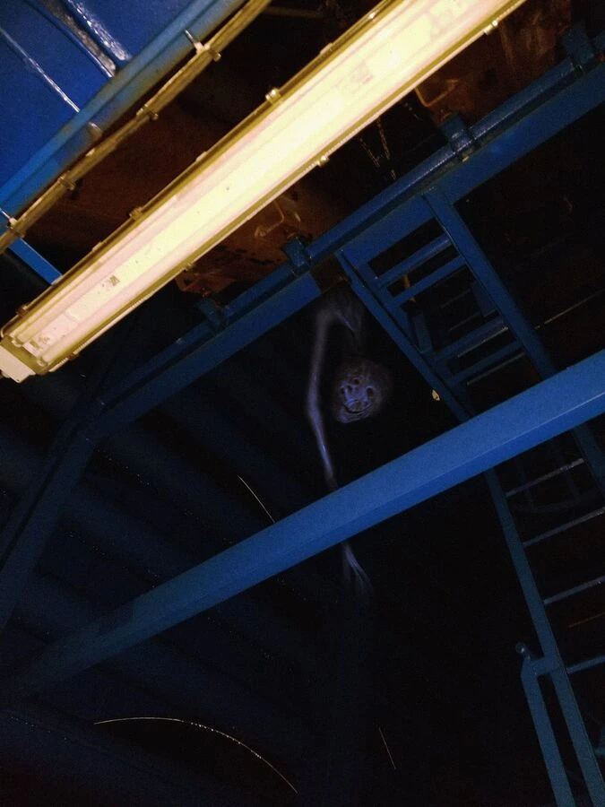 Roof Bender | Barli and SCP Foundation 2020 Wiki | Fandom