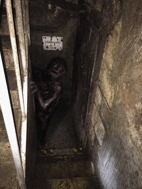 Sub-Basement Creature | Barli and SCP Foundation 2020 Wiki | Fandom