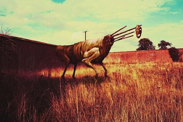 The Stink of old Meat on the Wind | Barli and SCP Foundation 2020 Wiki ...