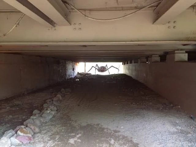 Humanoid Spider | Barli and SCP Foundation 2020 Wiki | Fandom