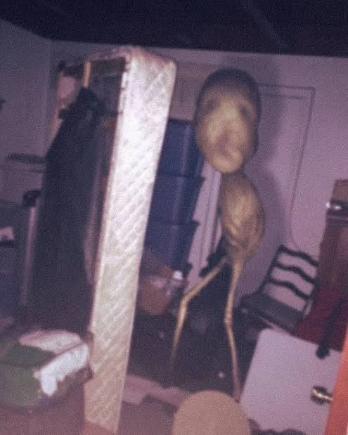 Room Dweller | Barli and SCP Foundation 2020 Wiki | Fandom