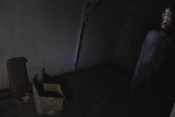 The Thing In The Empty Basement | Barli and SCP Foundation 2020 Wiki ...