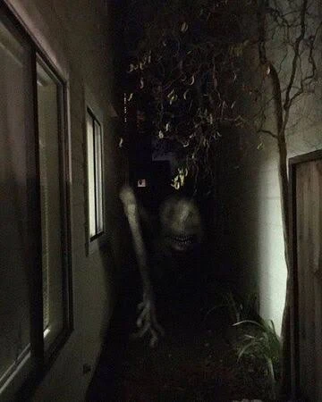 The Green Creature | Barli and SCP Foundation 2020 Wiki | Fandom