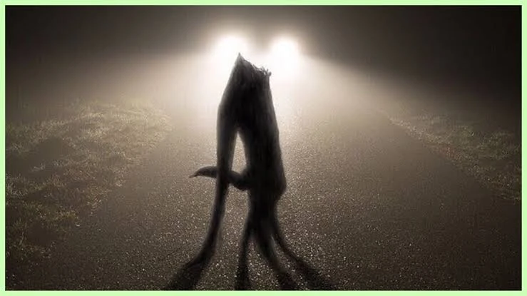 The Hand Goddess | Barli and SCP Foundation 2020 Wiki | Fandom