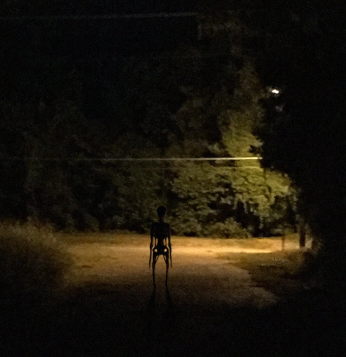 Night Skeleton | Barli and SCP Foundation 2020 Wiki | Fandom