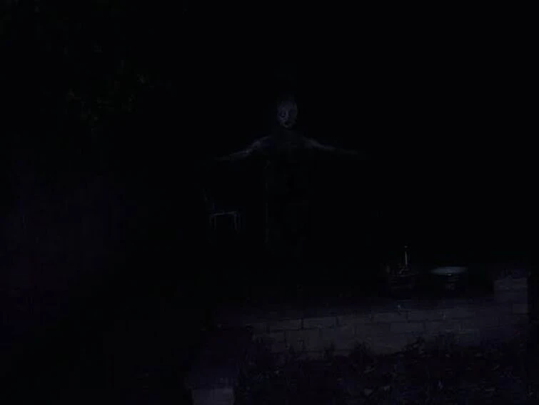 Standing Of Darkness | Barli and SCP Foundation 2020 Wiki | Fandom