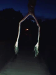 Strangle Bridge | Barli and SCP Foundation 2020 Wiki | Fandom