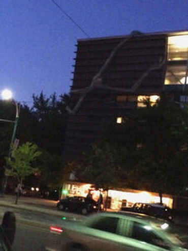 Building Climber | Barli and SCP Foundation 2020 Wiki | Fandom