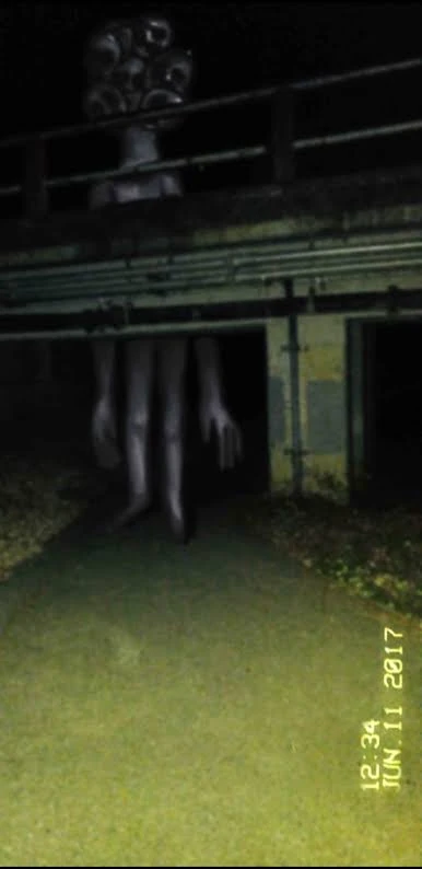 Three-eyed Creature | Barli and SCP Foundation 2020 Wiki | Fandom