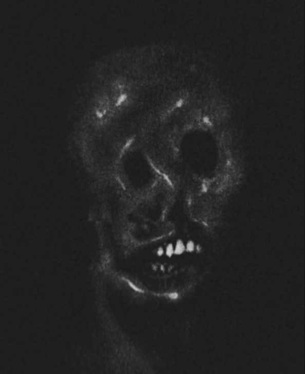 The Black Humanoid | Barli and SCP Foundation 2020 Wiki | Fandom