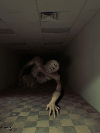 The Old Hallways | Barli and SCP Foundation 2020 Wiki | Fandom