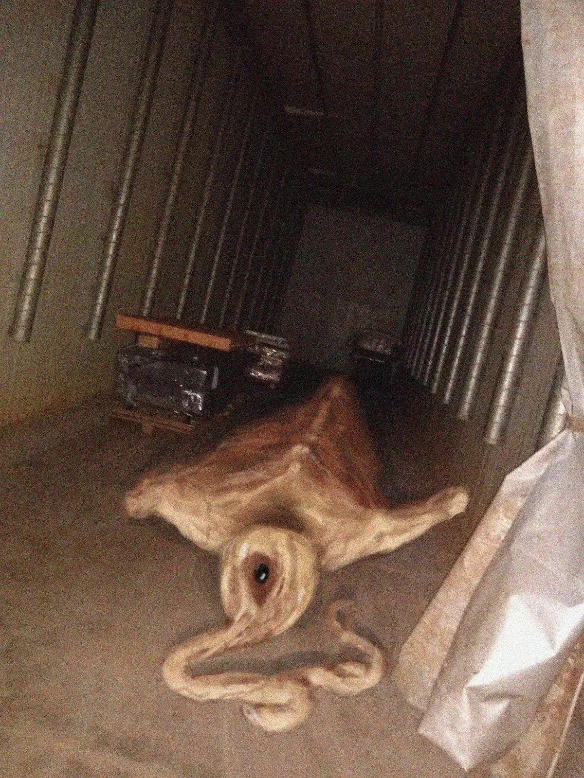 Special Cargo | Barli and SCP Foundation 2020 Wiki | Fandom