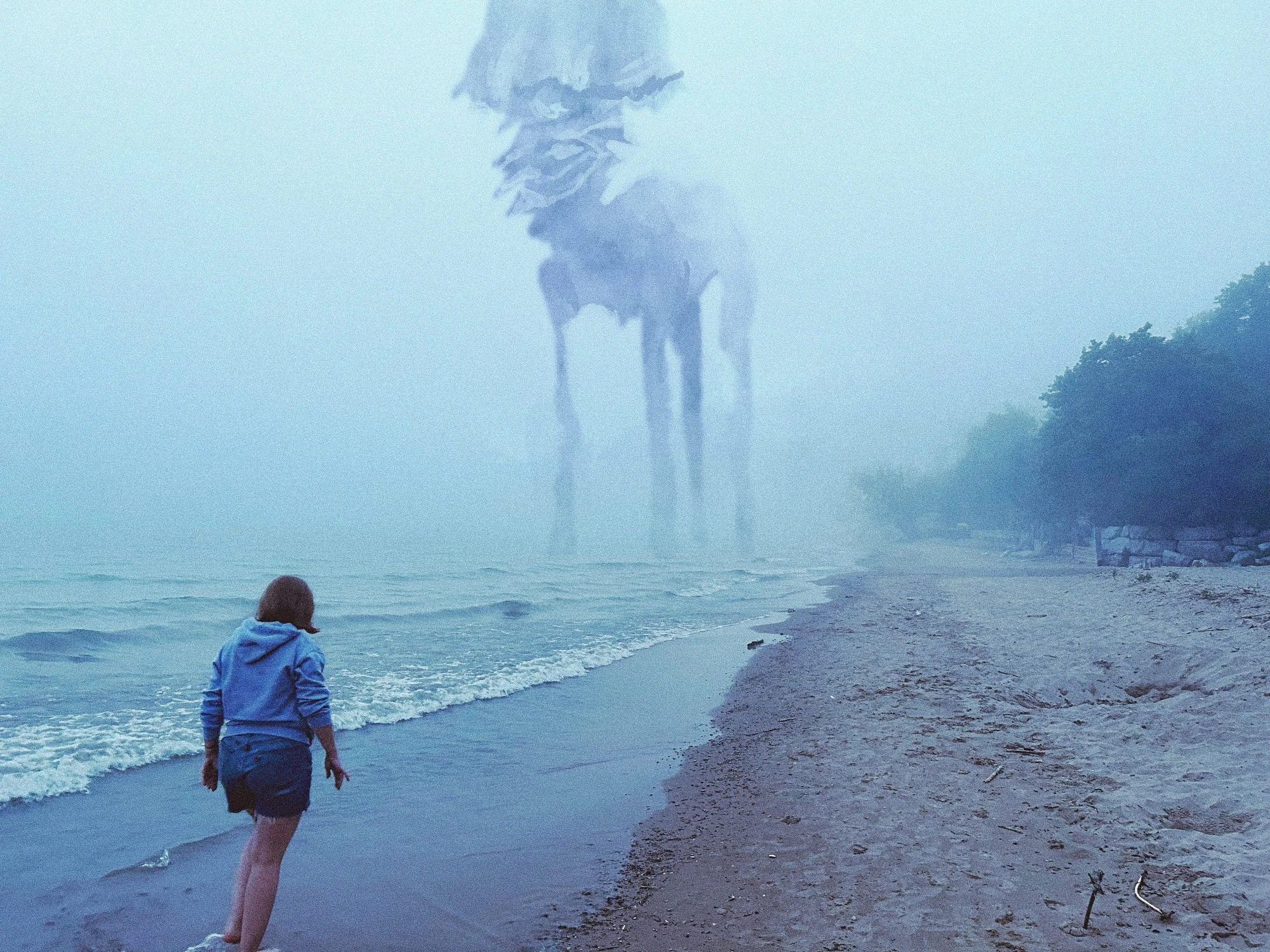 Beach Vacation | Barli and SCP Foundation 2020 Wiki | Fandom