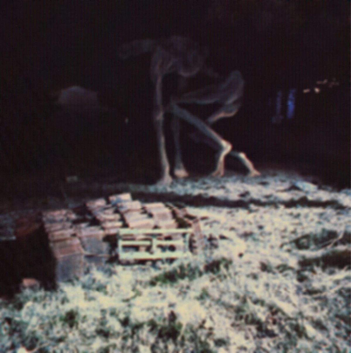 When it comes around late at night the herd cry out in exaltation ...