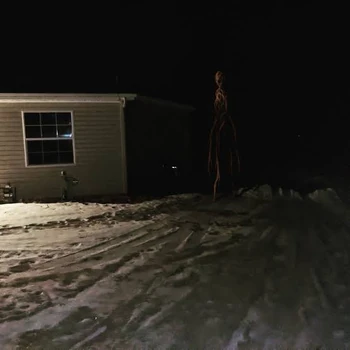 The Winter Wandering | Barli and SCP Foundation 2020 Wiki | Fandom