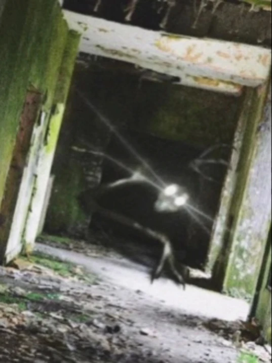 Dover Demon | Barli and SCP Foundation 2020 Wiki | Fandom