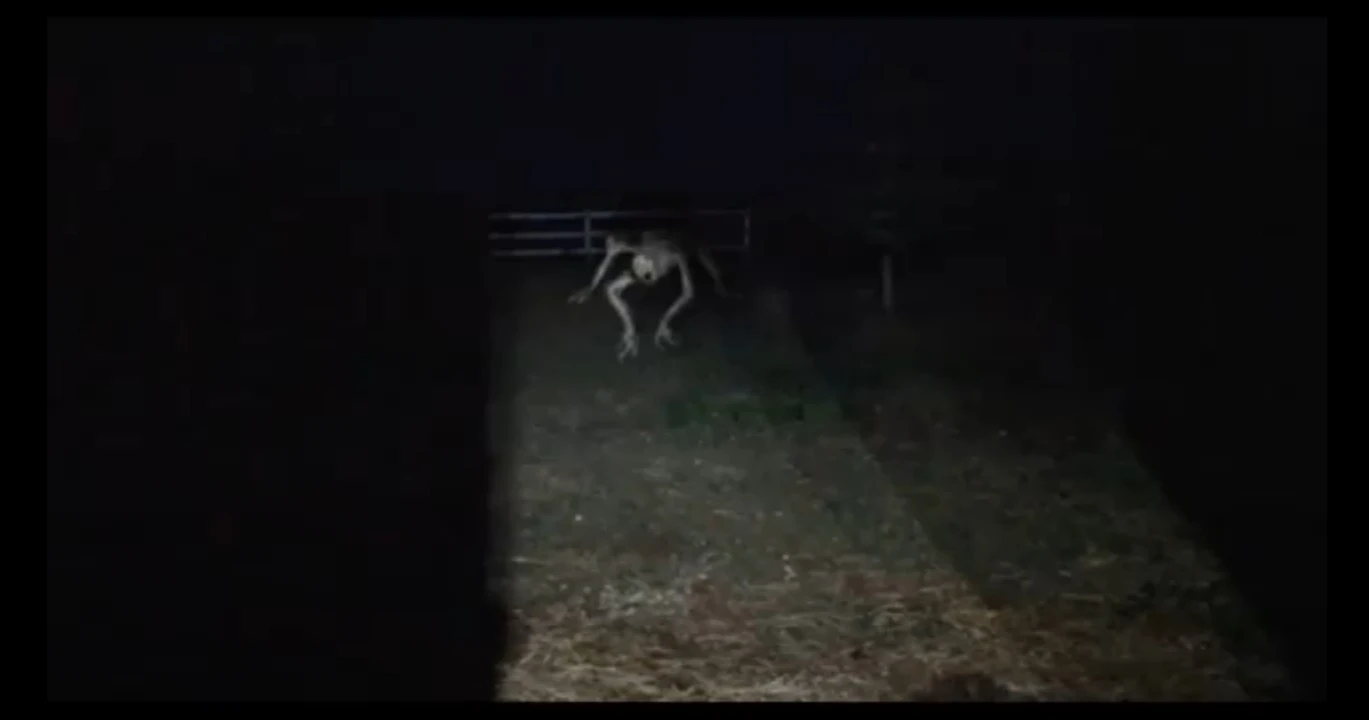 Gift Giver | Barli and SCP Foundation 2020 Wiki | Fandom