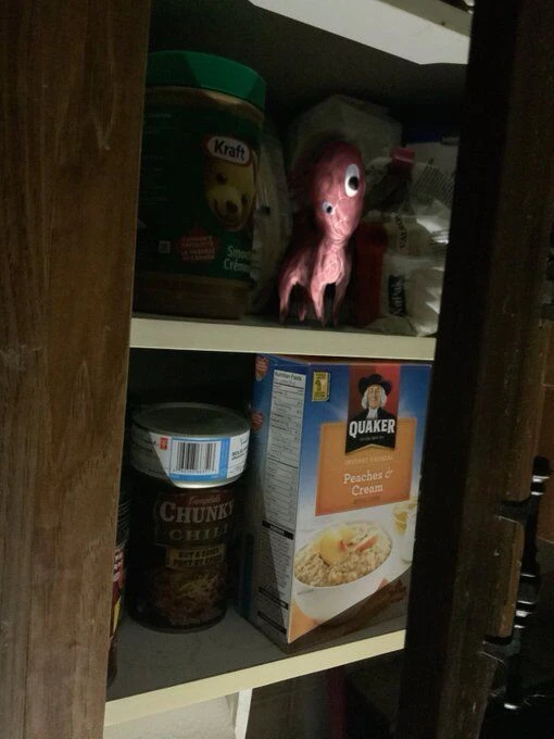 Lil' Nugget | Barli and SCP Foundation 2020 Wiki | Fandom