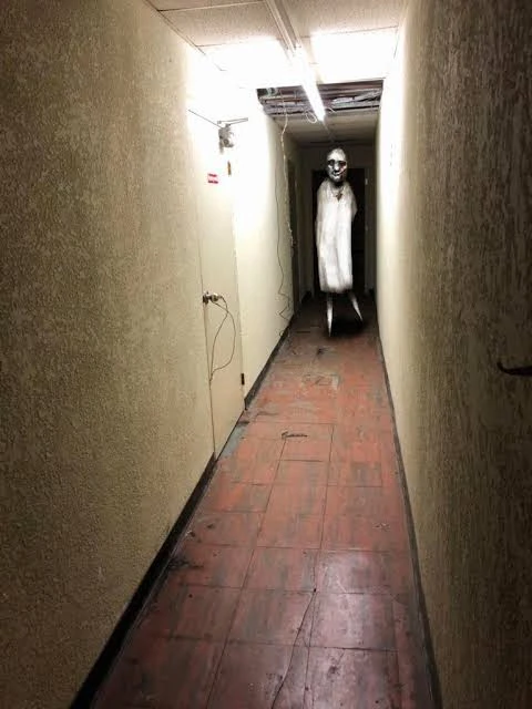 The Lost Patient | Barli and SCP Foundation 2020 Wiki | Fandom