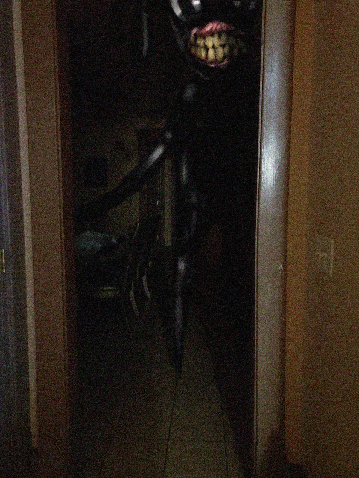 Cartoon Dog | Barli and SCP Foundation 2020 Wiki | Fandom