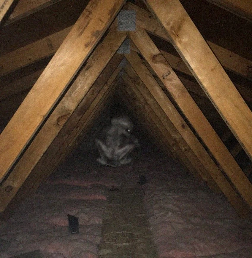 Attic Dweller | Barli and SCP Foundation 2020 Wiki | Fandom