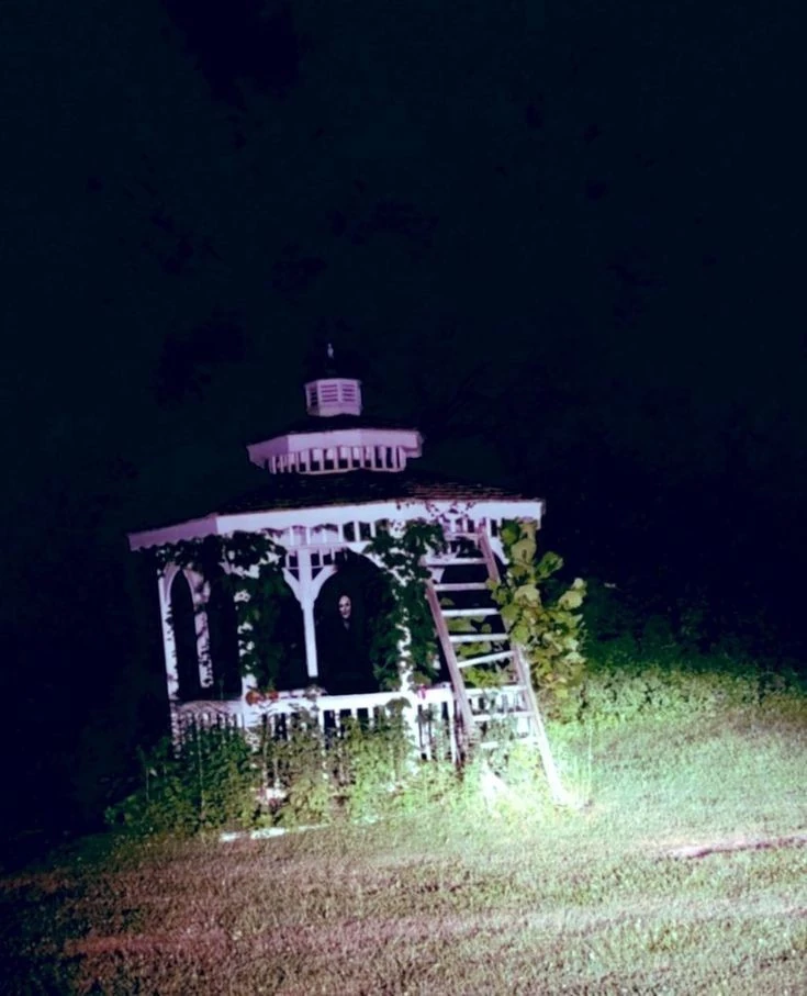 The Meeting Place | Barli and SCP Foundation 2020 Wiki | Fandom