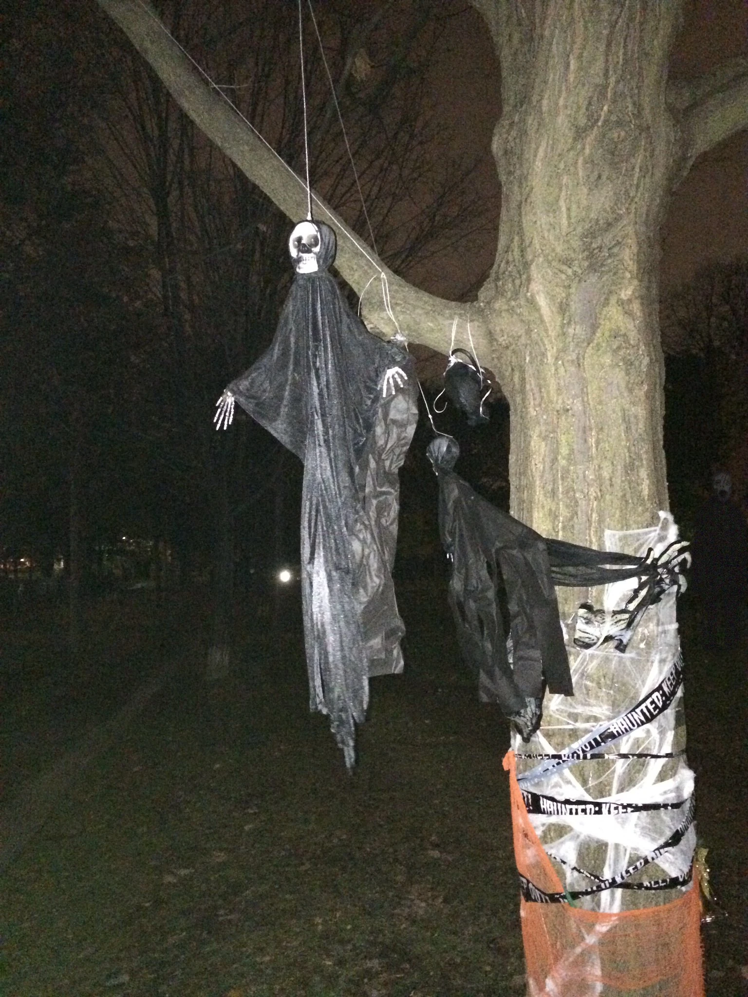 Halloween Creatures | Barli and SCP Foundation 2020 Wiki | Fandom