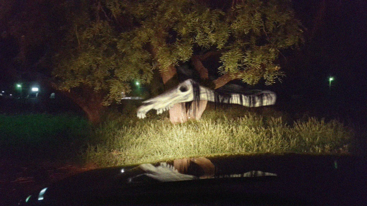 Wave System | Barli and SCP Foundation 2020 Wiki | Fandom